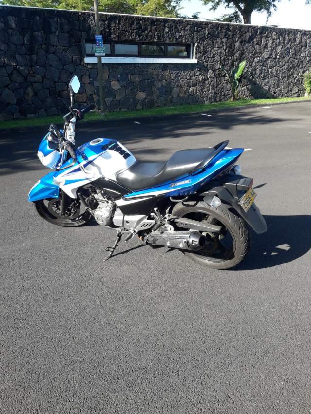 Suzuki Inazuma GW250 | Aster Vender Roadsters