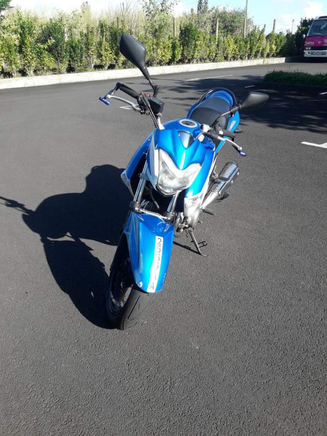 Suzuki Inazuma GW250 | Aster Vender Roadsters