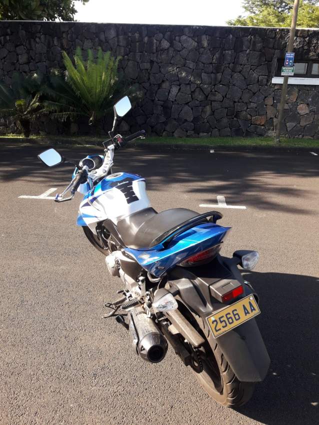 Suzuki Inazuma GW250 | Aster Vender Roadsters